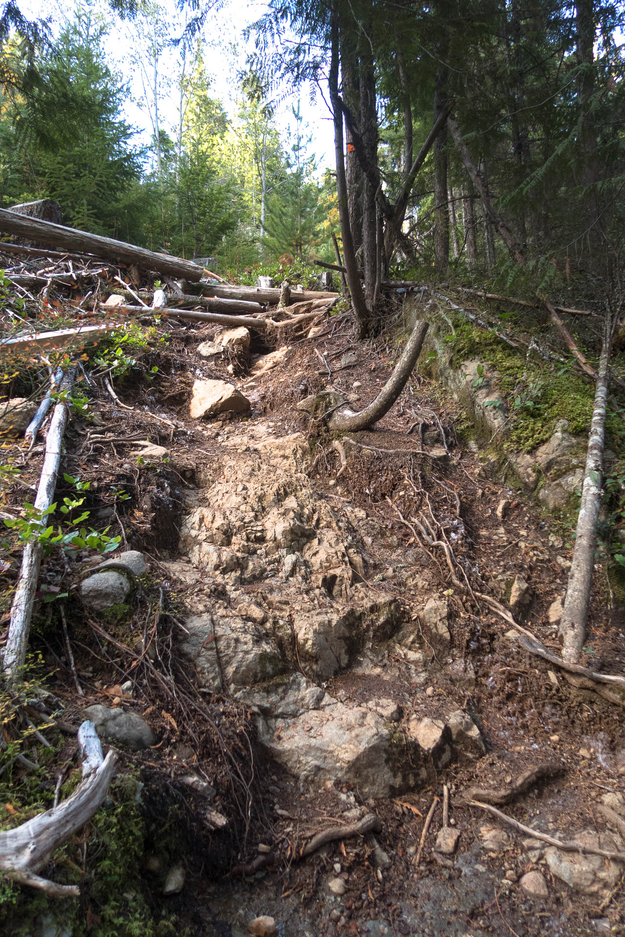 Mount Benson Project - Trail Work - Island Mountain Ramblers