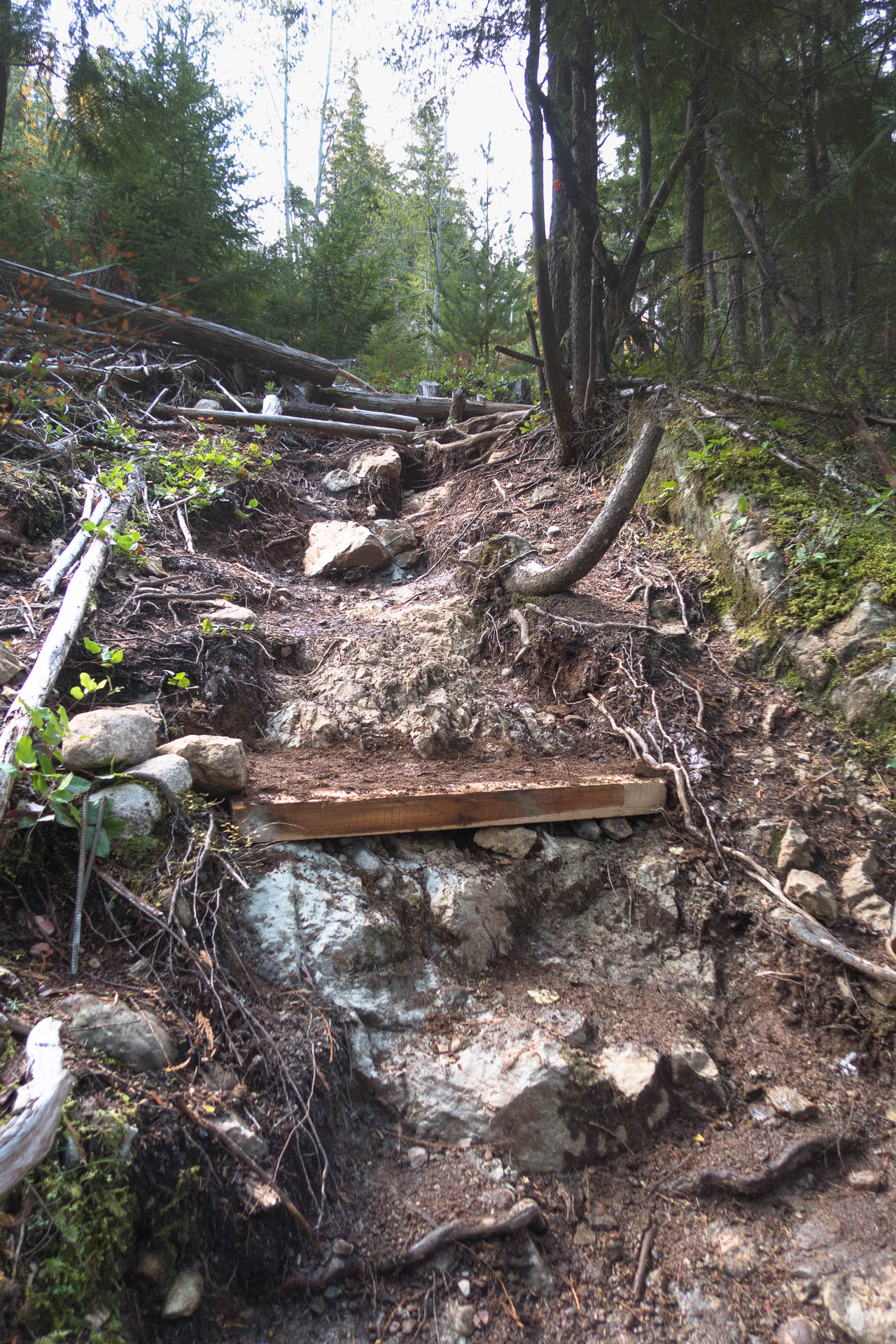 Mount Benson Project - Trail Work - Island Mountain Ramblers